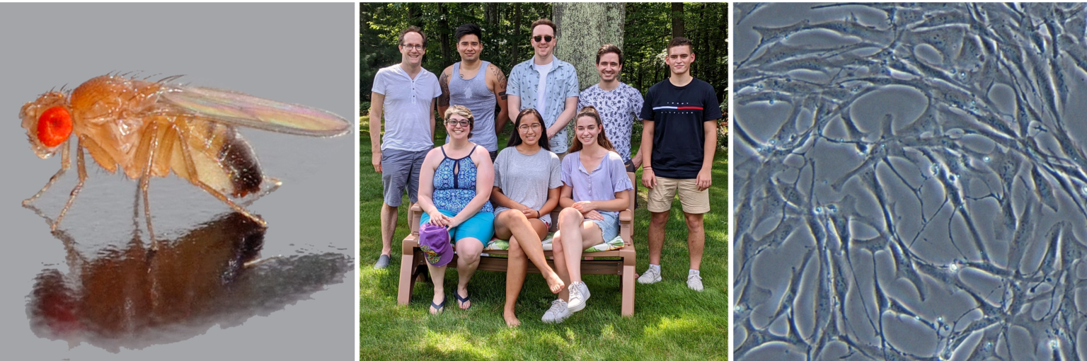 Walker Lab at MGH – Center for Genomic Medicine • Simches Research ...